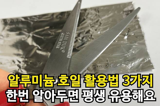 니트 보풀 그냥 두지 마세요 감쪽같이 니트 보풀 제거하는 법 텐꿀팁