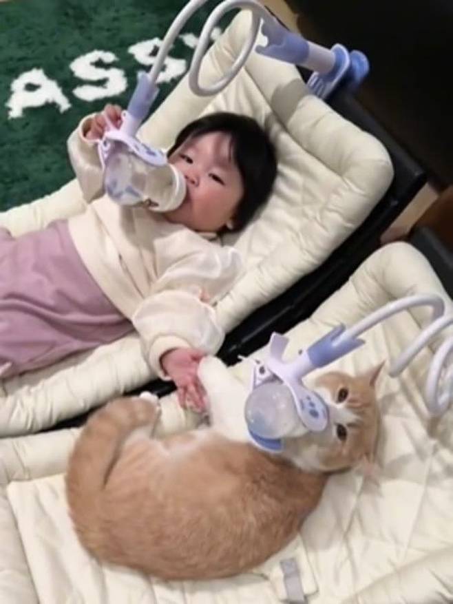 사이좋게 각자 우유병 꽉 붙잡고 누워서 먹방하느라 바쁜 아기랑 고양이 애니멀 플래닛