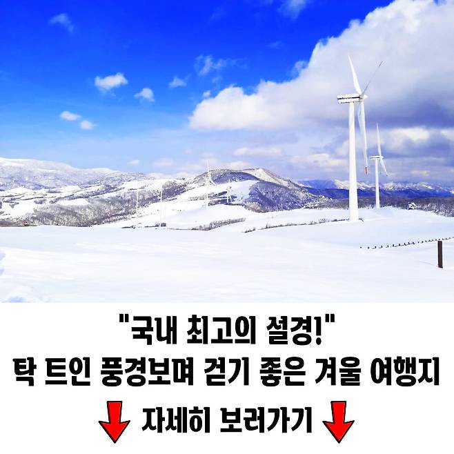 겨울이면 꼭 찾는 이유 매년 부모님들이 찾는 특별한 명소 여행을말하다