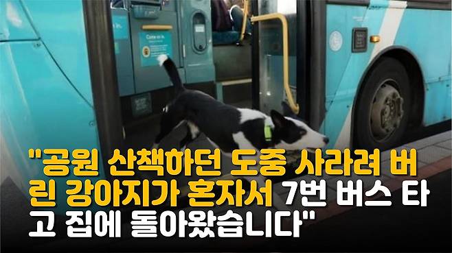 깨진 얼음 조각 위에서 피곤했는지 누워 잠자는 북극곰의 씁쓸한 생존 현장 애니멀 플래닛