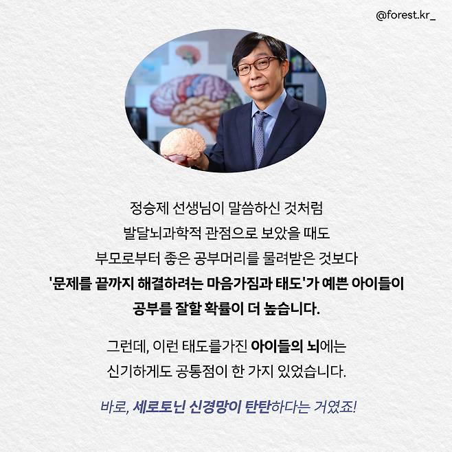 일타강사 曰 상위 1 공부 잘하는 아이들은 이 예쁘다 꿀벌책방