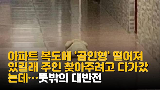 강아지 불러도 나타나지 않아 찾아봤더니 이렇게 귀엽게 자고 있어요 애니멀 플래닛