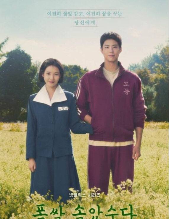 아이유x박보검 폭싹 속았수다 3월 7일 넷플릭스 전격 공개