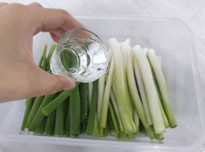 대파 얼리지 마세요~ 이것 넣으면 한 달 내내 싱싱해요 오늘살림루틴