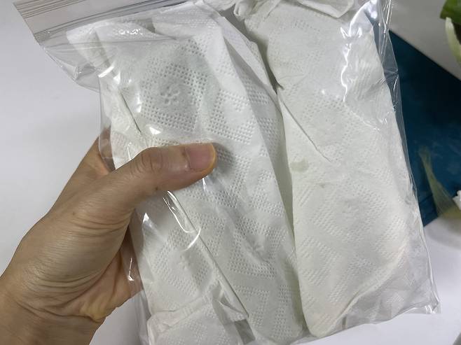 대파 냉장고에 그냥 보관하지 마세요 이렇게 하면 1년 내내 그대로 텐꿀팁
