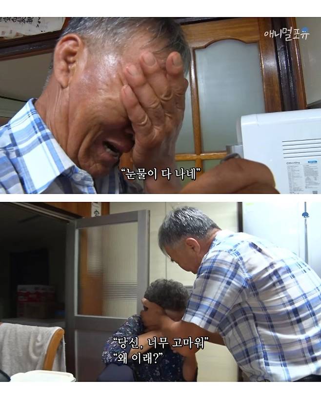 치매 걸린 아내가 4년 만에 정신이 돌아와 처음 기억해 낸 것 꿀벌책방