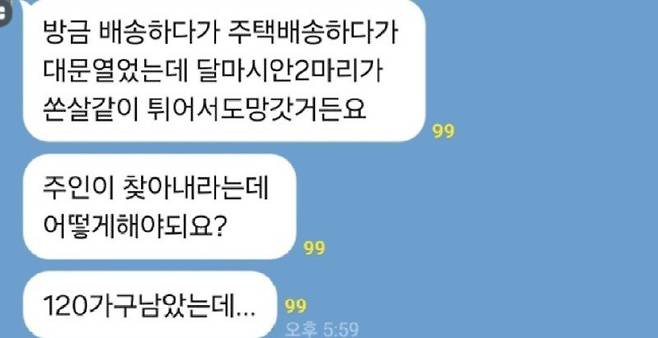 택배 배송 문 열때 도망간 달마시안 두 마리 때문에 재미진