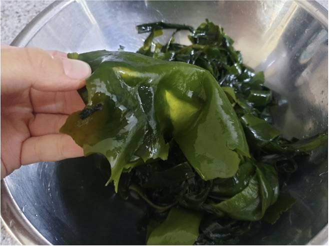 미역 불릴 때 이것 꼭 넣으세요 야들야들함이 미쳤습니다 오늘살림루틴