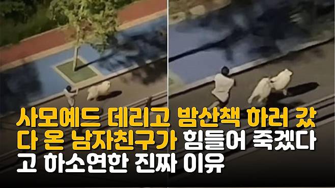 버려진 매트리스에서 추위에 떨고있는 아기 길고양이 봤더니 마음이 심란하네요 애니멀 플래닛