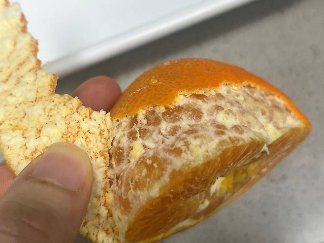 귤껍질 그냥 버리지 마세요 여기에 넣으면 효과가 너무 좋아 놀라게 됩니다 텐꿀팁