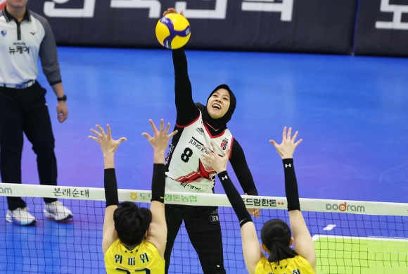 V리그 4라운드 Mvp는 연승 주역현대케피탈 레오·정관장 메가 선정