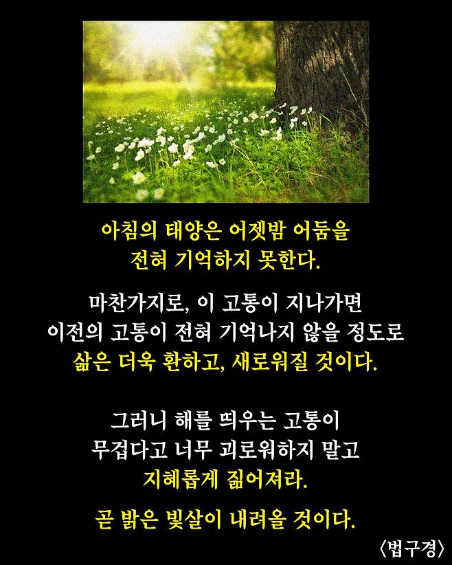 하는 일마다 안 되던 개그맨 윤성호를 일으킨 기적의 문장 꿀벌책방