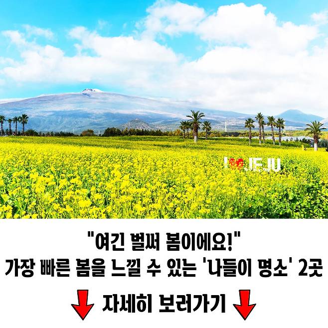 입장료 없이도 충분하다 아름다운 무료 설경 명소 추천 2곳 여행을말하다
