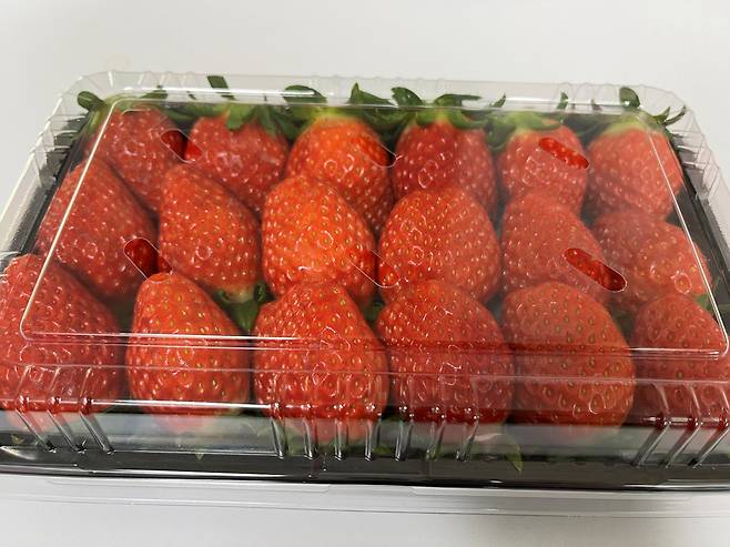 딸기 살 때 이것을 꼭 확인하세요 맛있는 제철 딸기 고르는 법 꿀하우스
