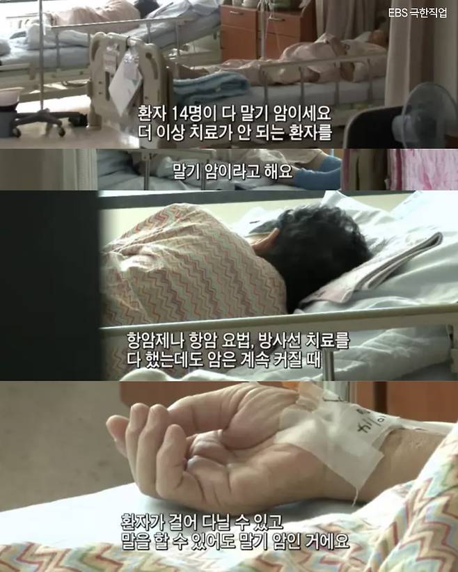 나 언제 죽어라고 묻는 말기 암 환자를 다독이는 호스피스 의사 꿀벌책방