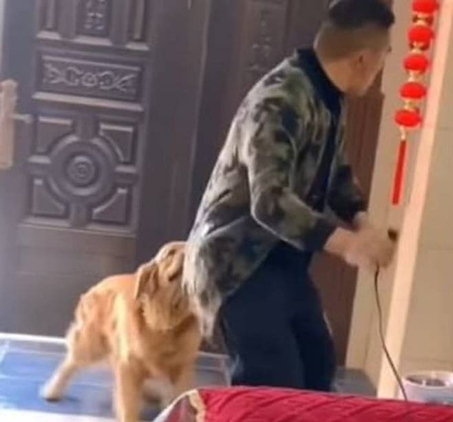 할머니 주무시는데 눈치 없이 청소기 미는 아들 본 강아지의 대처 행동 애니멀 플래닛