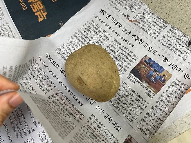 감자 그냥 보관하지 마세요 이렇게 하면 먹는 내내 신선함이 그대롭니다 텐꿀팁