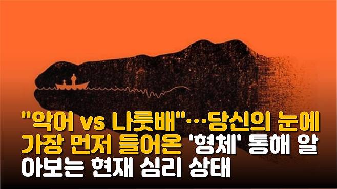 고양이 키우는 집에서 절대로 옷 정리함을 사면 안되는 이유 애니멀 플래닛