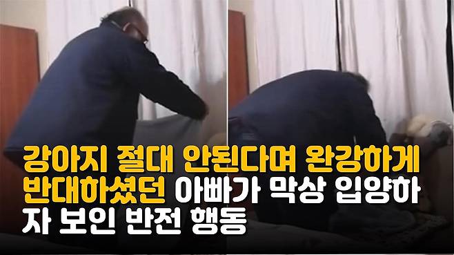 담벼락에서 사진 찍었을 뿐인데 뜻밖의 고양이들 덕에 레전드 된 아저씨 애니멀 플래닛