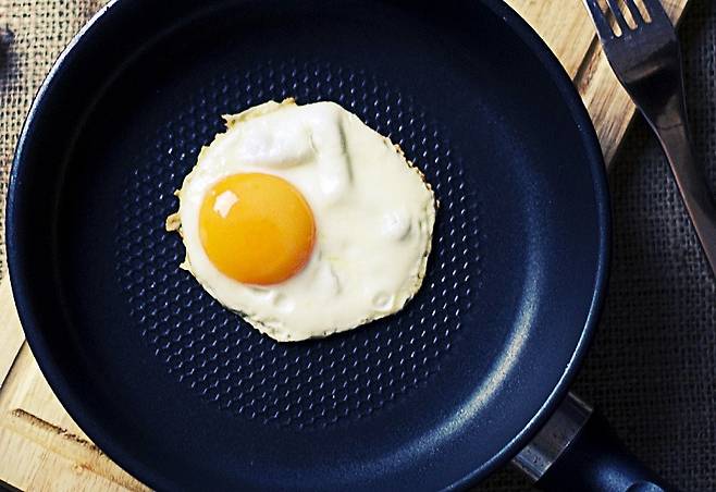 영원한 화학물질 먹는 기적의 세균 | 스푸트니크