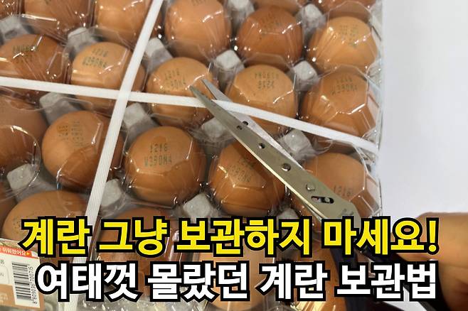 종이컵을 잘라서 여기에 두세요 욕실 골칫거리가 빠르게 사라집니다 텐꿀팁
