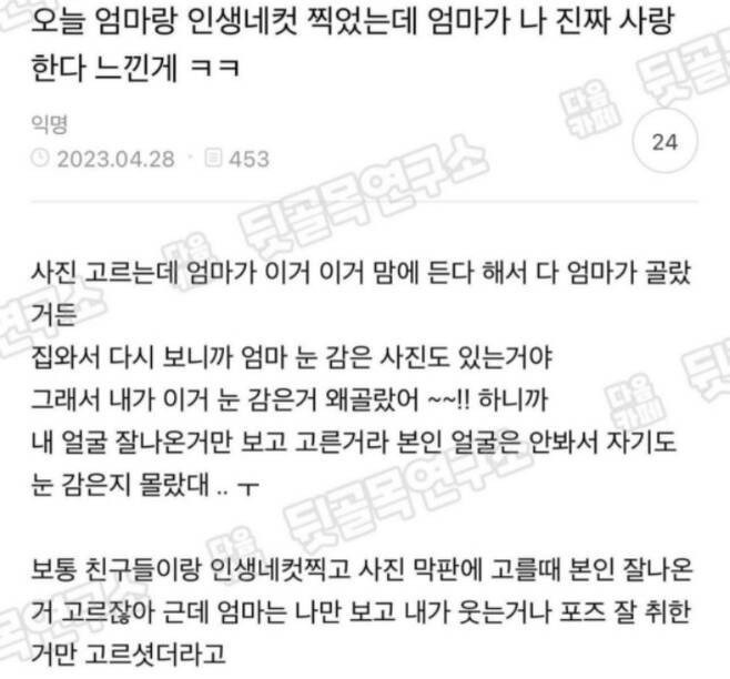엄마랑 인생네컷 찍어라 에펨코리아
