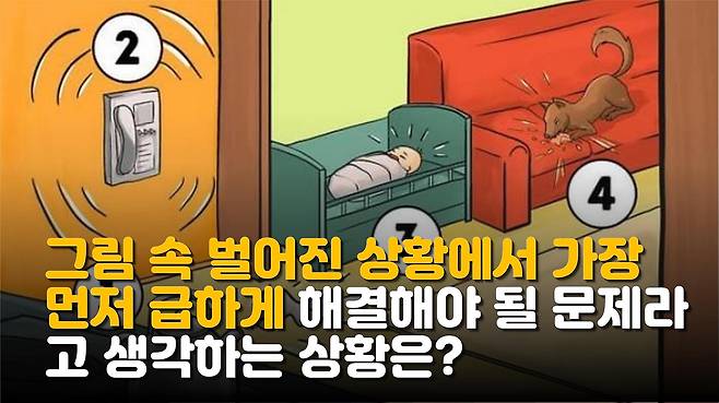 머리에 모자 쓰고 산책 나왔다가 이제 그만 집에 돌아가겠다는 강아지 애니멀 플래닛