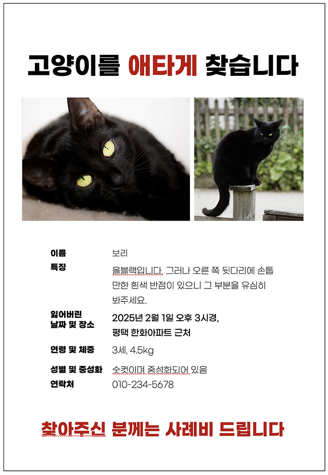 더 빠르게 잃어버린 고양이 찾는 전단지 만드는 법부착 장소 캣랩