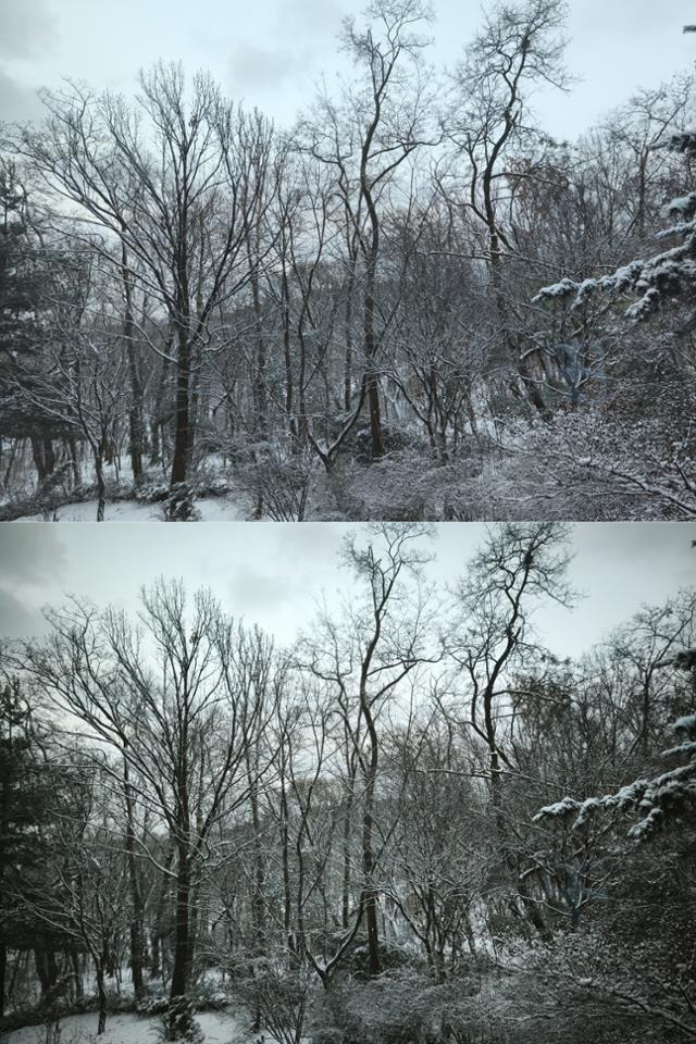 써봤더니 가성비 무장한 샤오미 스마트폰·워치 한국 팬심 사로잡을까 New And Good