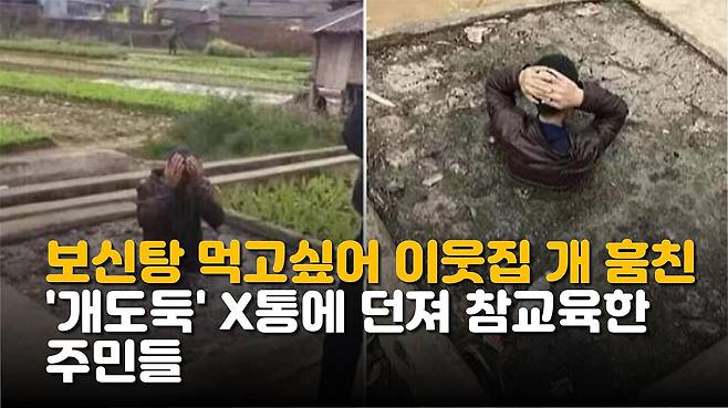 댕댕이가 추워서 목도리 한 줄 알았는데 알고보니 고양이 였어요 애니멀 플래닛