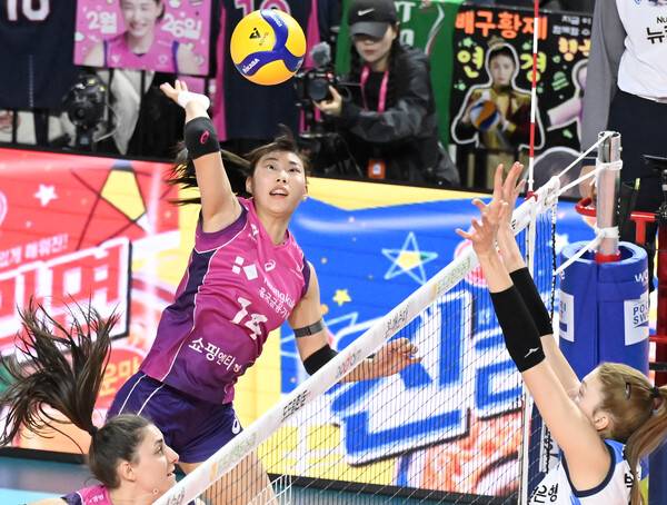 '6067명 매진' 흥국생명, IBK 꺾고 11연승-정규리그 우승 목전에