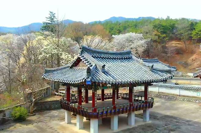 아직 덜 알려져서 더 좋아 사람 붐비지 않는 벚꽃 명소 여행을말하다