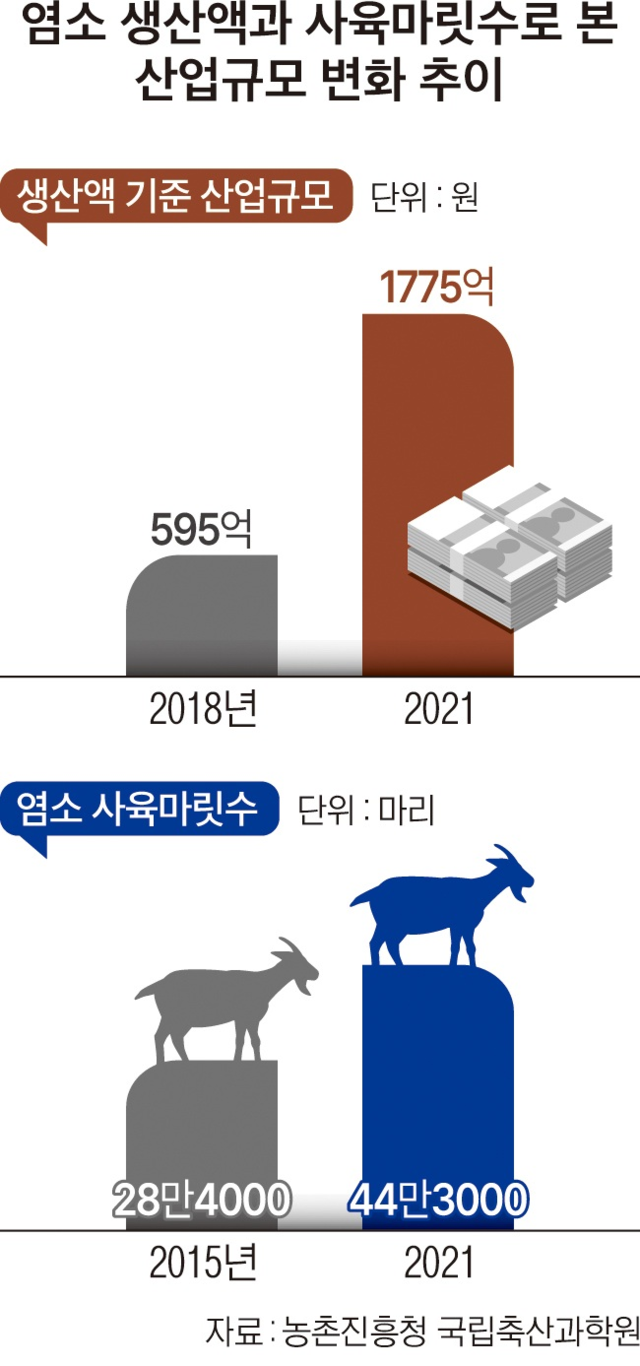 염소사육 빠르게 늘어도 방역관리 ‘나몰라