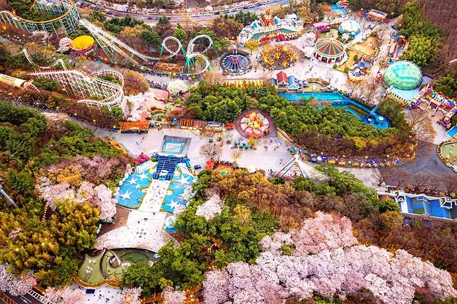 100만 송이 튤립과 벚꽃 천국 연 320만 명 찾은 3월 봄 축제 여행을말하다