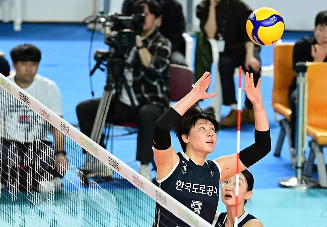 여자배구 영플레이어상에 신인 세터 김다은 유력남자부는 경합