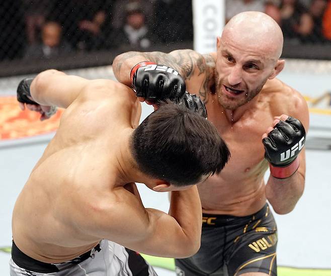 ‘코리안좀비 정찬성을 은퇴시킨 알렉산더 볼카노프스키 Ufc 페더급 챔프 벨트 되찾는다