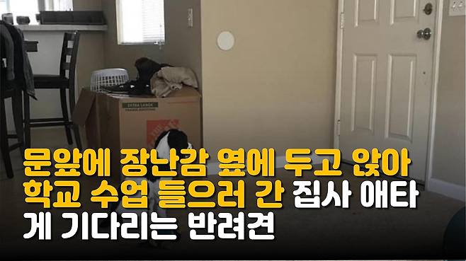 어깨 마사지해줬더니 기분이 좋은지 그 자리에서 눈이 풀려버린 아기 오리 애니멀 플래닛