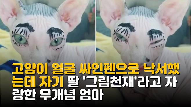 버티자 버텨~산책 끝내고 집에 가자했더니 강아지들 반응 애니멀 플래닛