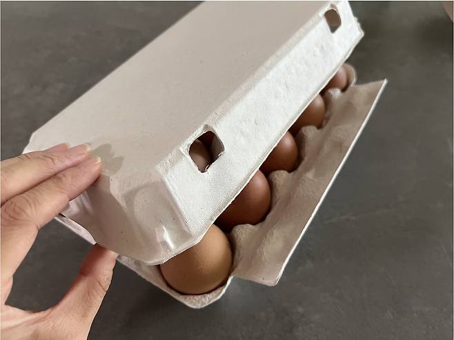 마트에서 이런 계란 알고도 산다면 바보입니다 오늘살림루틴