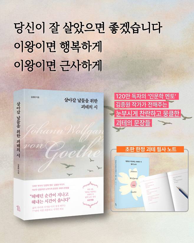 지능 높은 사람들이 남들한테 상처 안 받는 원리 이거 보고 이해됨 퍼스트펭귄