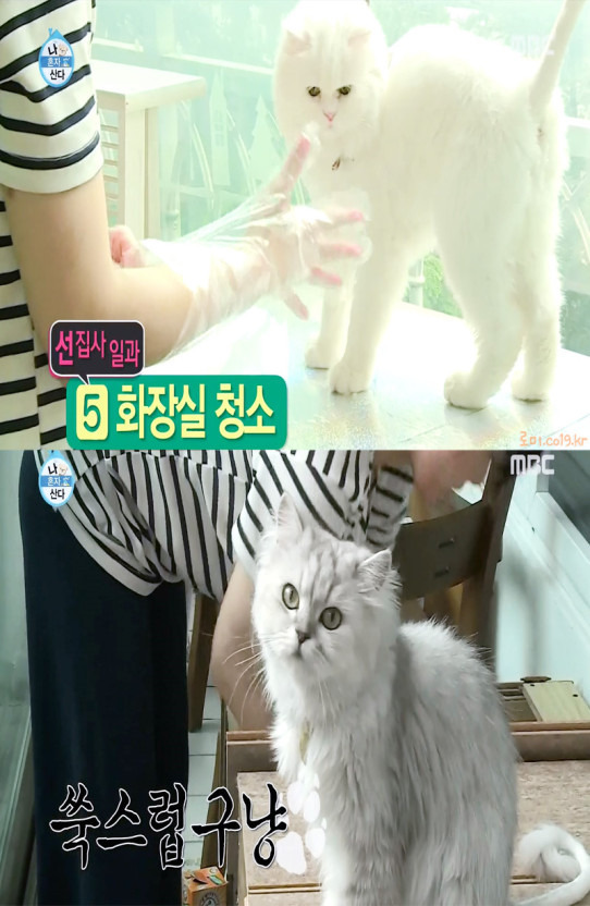 ‘나혼자산다 45세 여배우 영화 촬영하다 11살 연하 배우와 결혼발표한 배우 커플 스포엔 뉴세이