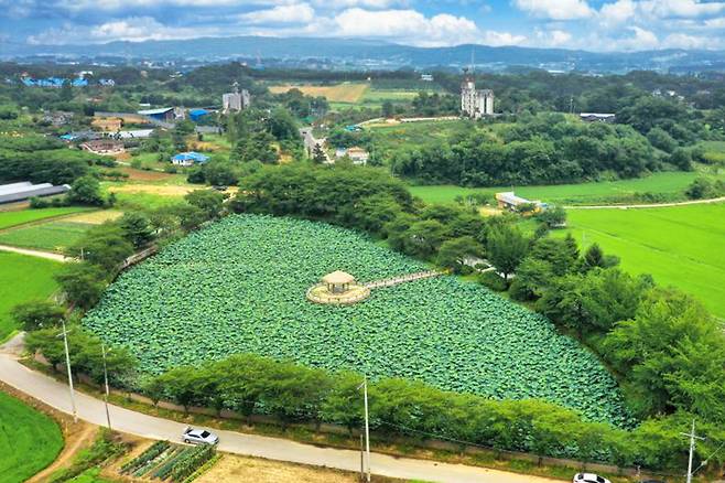 이곳에서만 가능한 특별한 봄 600년 성벽 아래서 펼쳐지는 예술 축제 여행을말하다
