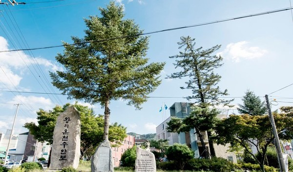 수안보온천 근처 가볼만한곳 힐링과 체험이 있는 충주 명소는