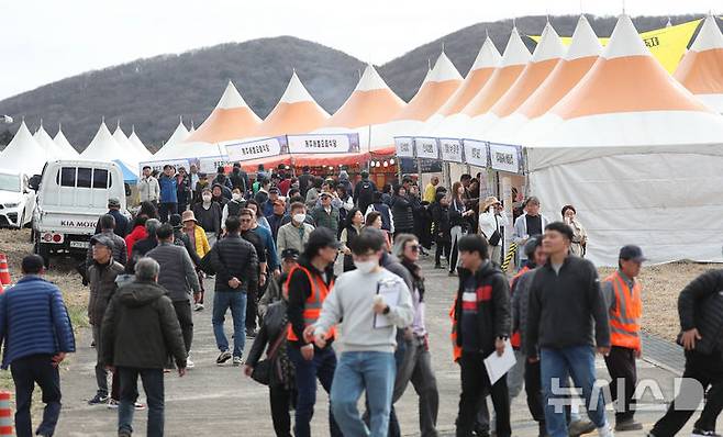 제주들불축제 전면 취소새별오름 일대 기상악화