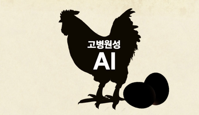 고병원성 Ai 41건으로세종 산란계농장 확진