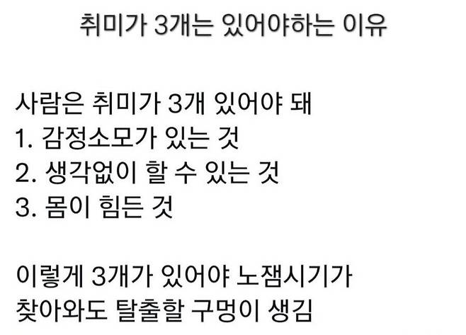 취미는 최소 3개는 있어야 한다 루리웹 유머