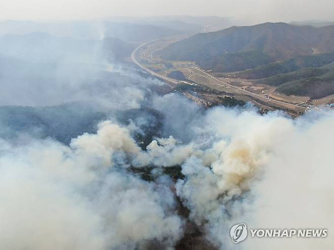 경북산불 연기 독도넘어 동해 먼곳까지 퍼졌다최소 200㎞ 이동