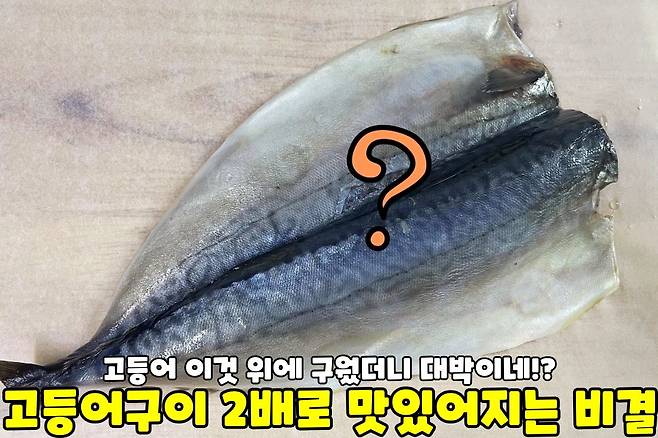 양파 그냥 보관하지 마세요 알면 평생 써먹는 양파 꿀팁 4가지 쏙쏙팁