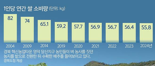 벼 대신 다양한 작물 ‘신개념 논농사 쌀 과잉생산 막는다 농어촌이 미래다 그린 라이프