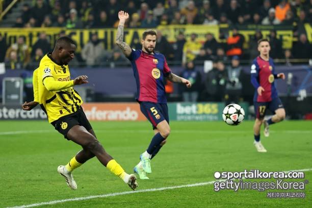 맨유 배 아프겠네...바이아웃 '260억' 비싸서 포기한 FW, 홀란드 넘고 UCL 득점 신기록 세웠다!